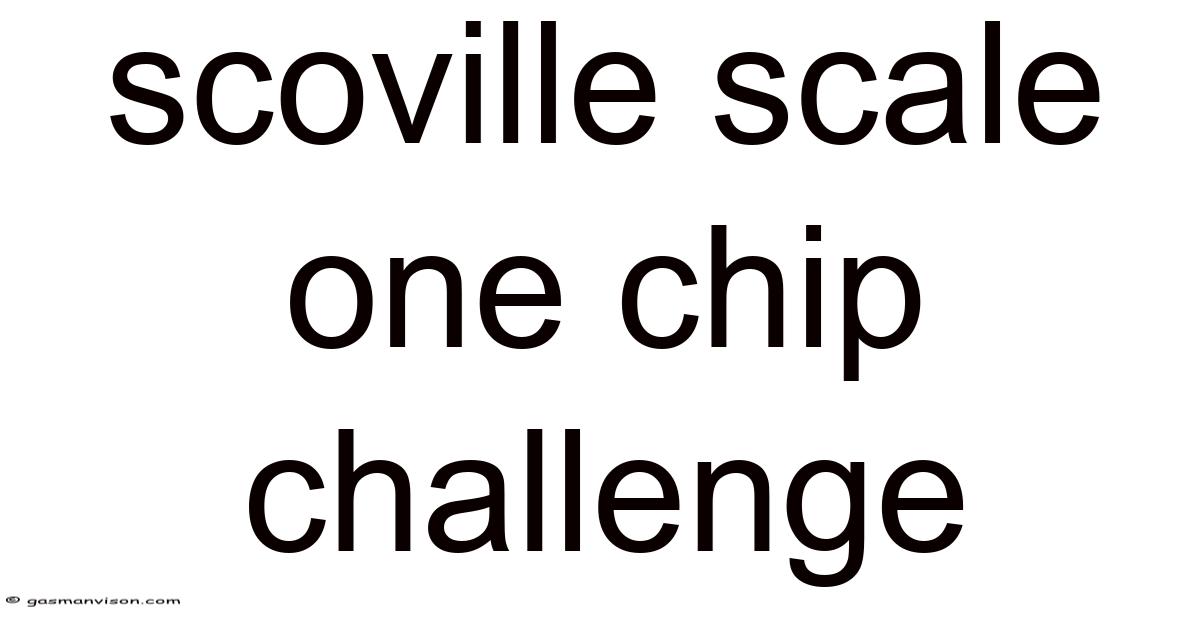 Scoville Scale One Chip Challenge