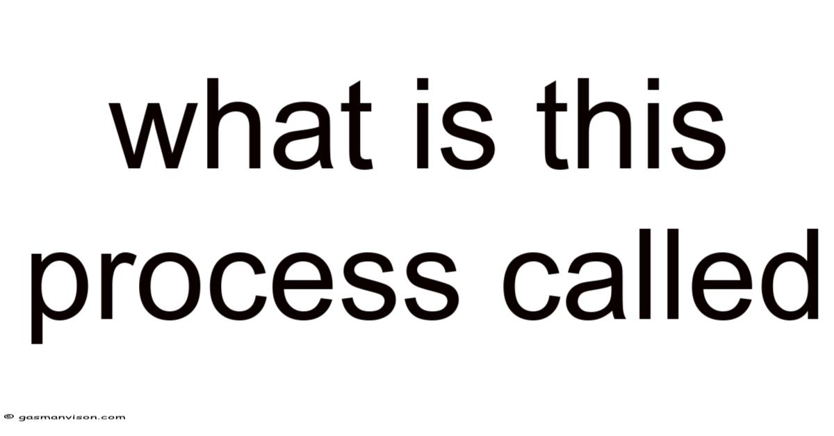 What Is This Process Called